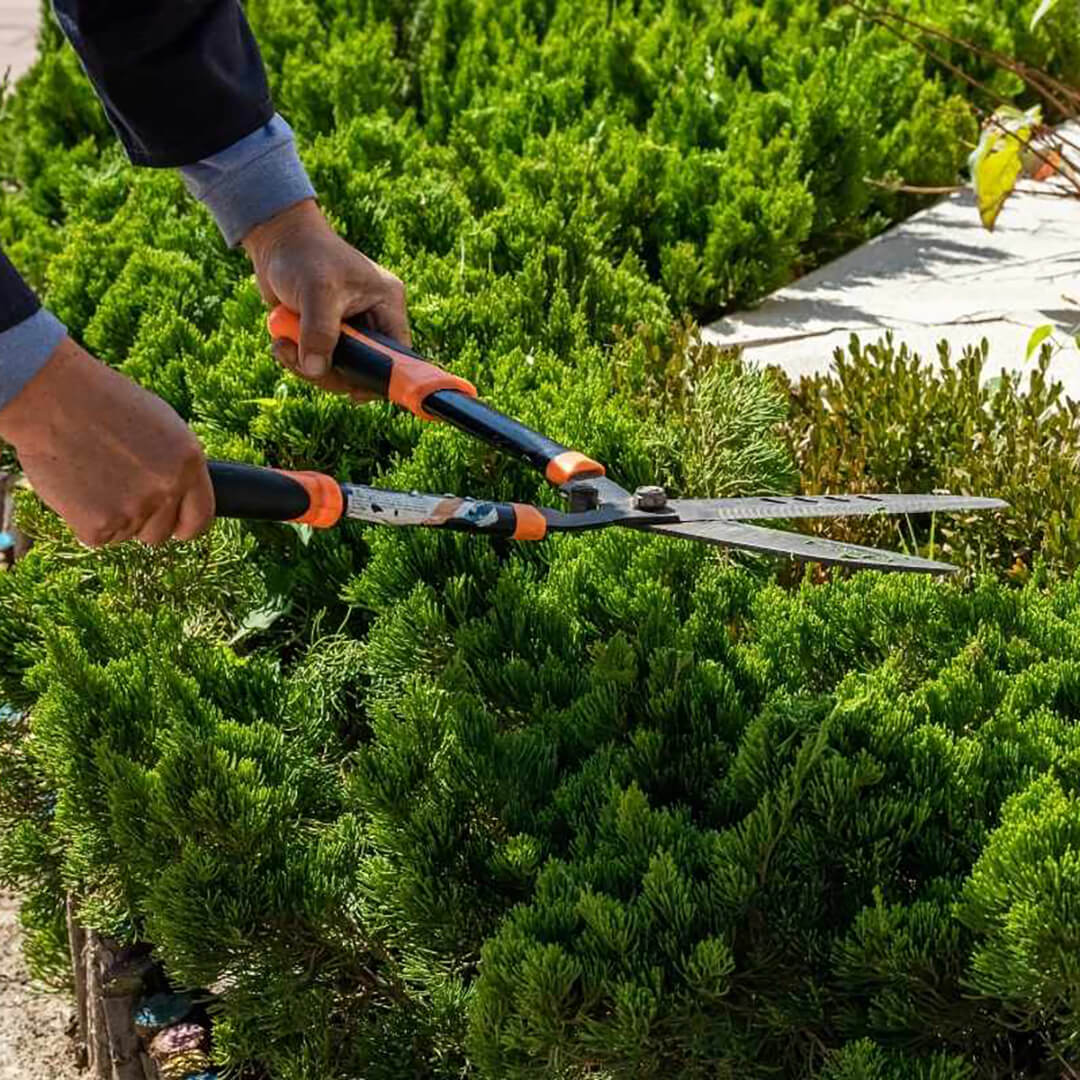 Autumn is the Best Time for Garden Projects | News | Composite Prime