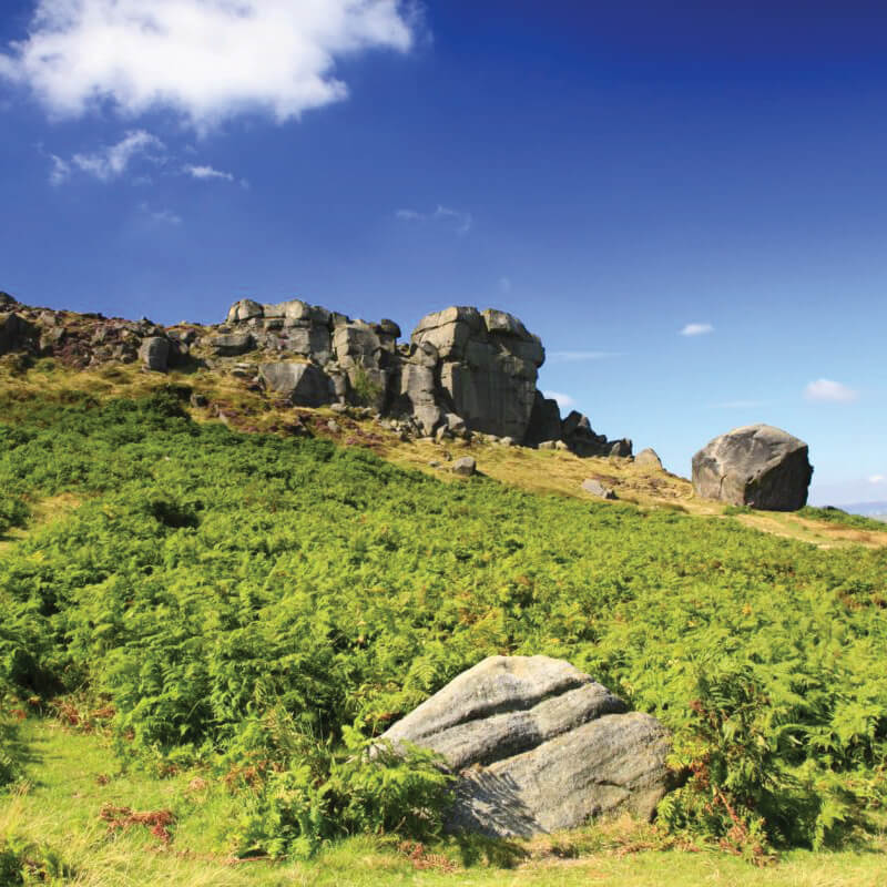 Our Journey So Far | News | Composite Prime